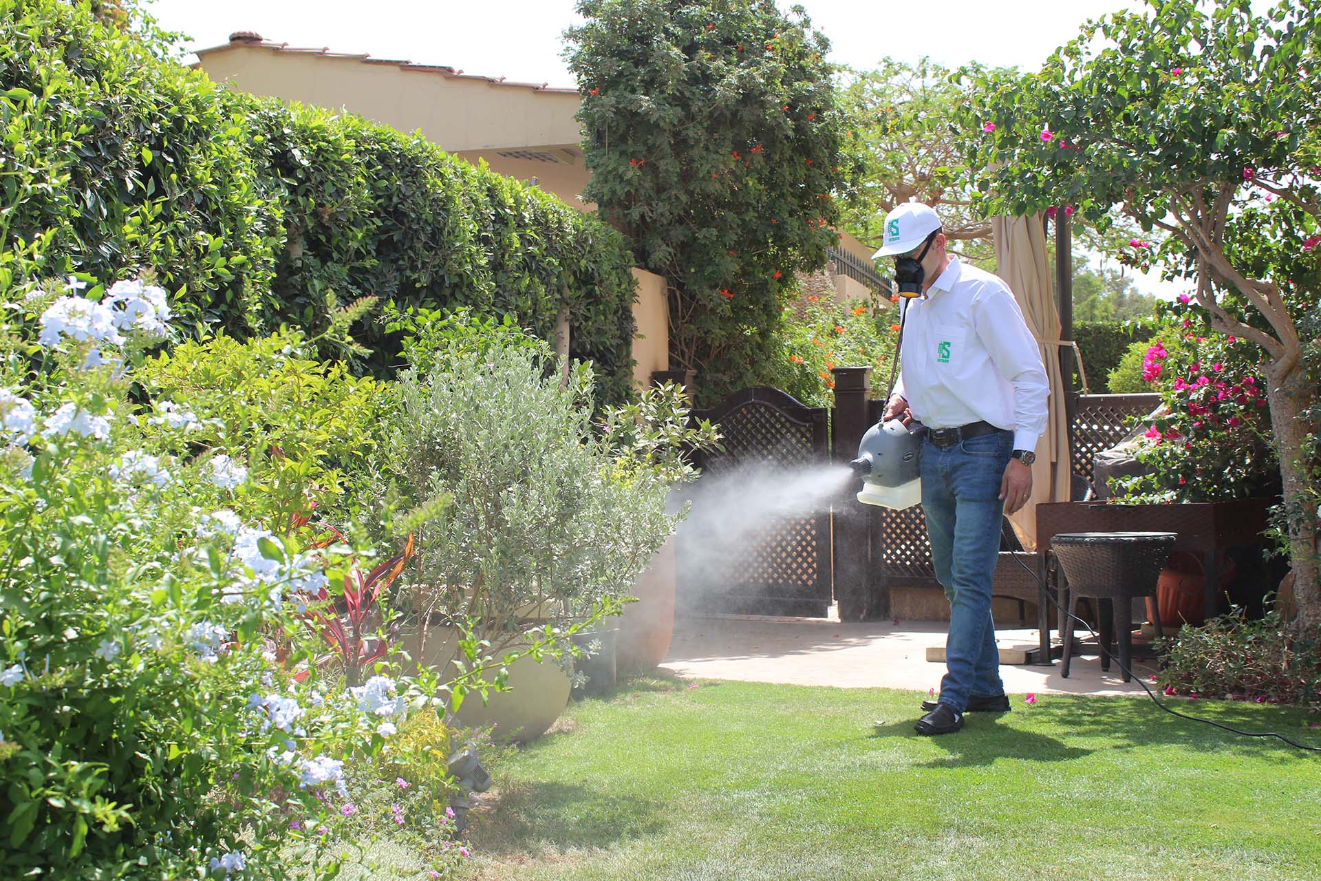 Flying Insect Control - SOTAICO Pest Control